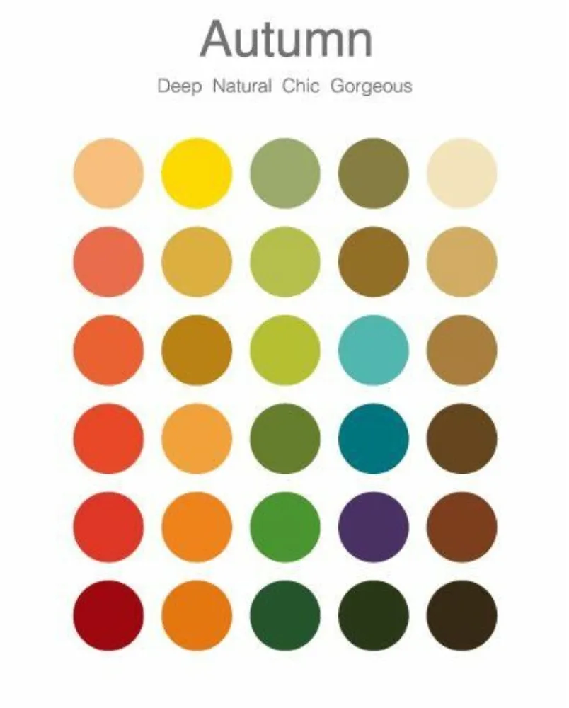 Bài test màu sắc cá nhân online giúp xác định personal color