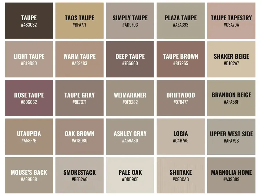 Màu taupe là gì? Cách phối đồ sành điệu với tone taupe cho nam