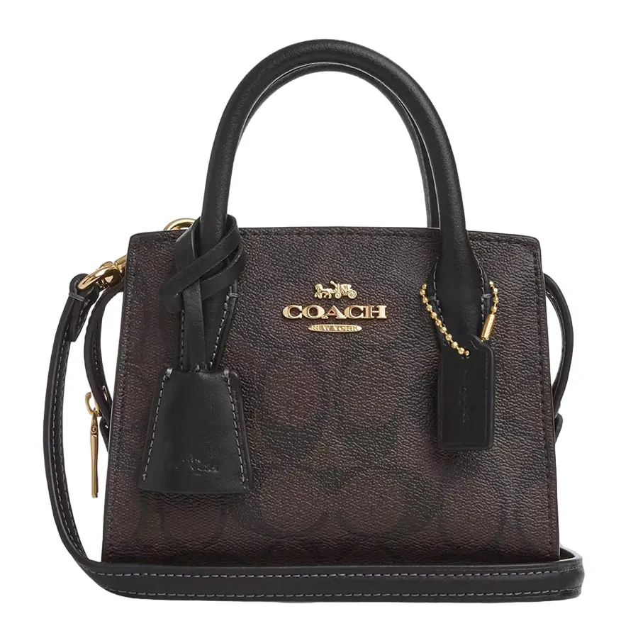Túi Đeo Chéo Nữ Coach Andrea Mini Carryall In Signature Canvas CO975 ...