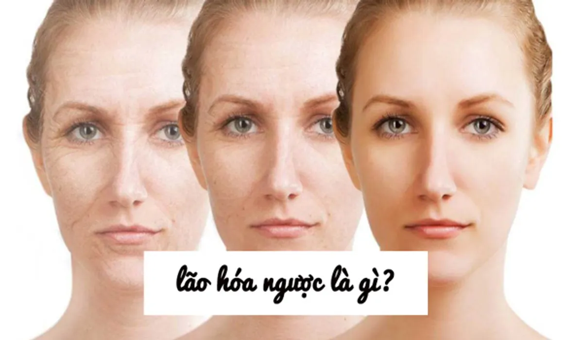 Lão Hóa Ngược Là Gì 15 Bí Quyết Sở Hữu Làn Da Không Tuổi Tại Nhà Cho Nữ