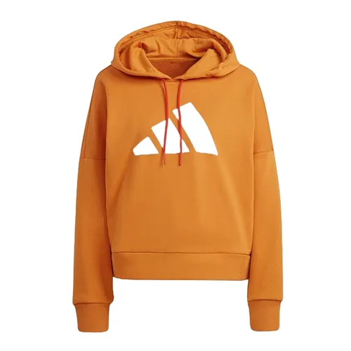 Áo Hoodie cao cấp chính hãng, Áo Hoodie Nam Nữ dài tay hàng hiệu, Giá tốt